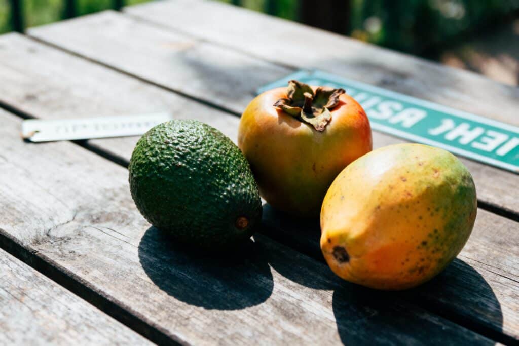 Quels sont les fruits en h à découvrir absolument
